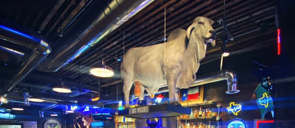 Cattle Drive Cafe | Bull Bar